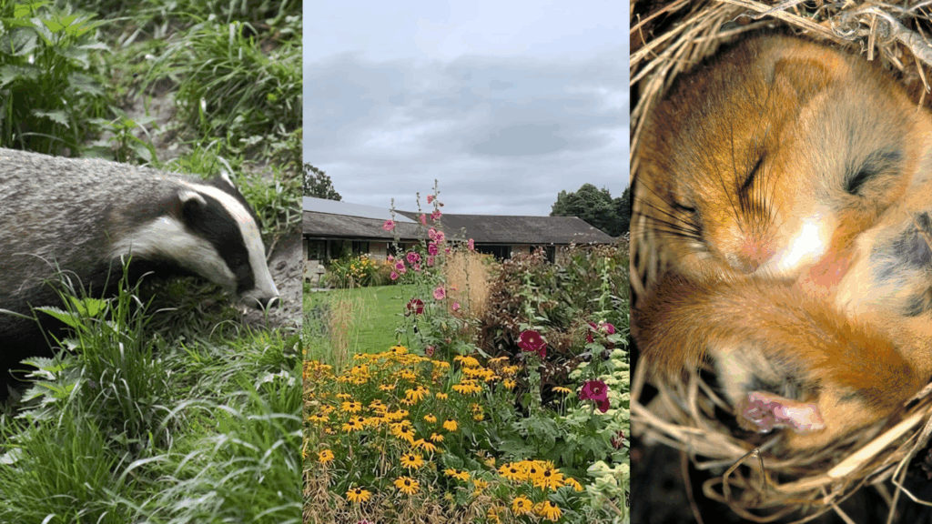 Environment | Our Commitment to Supporting Wildlife | Avove